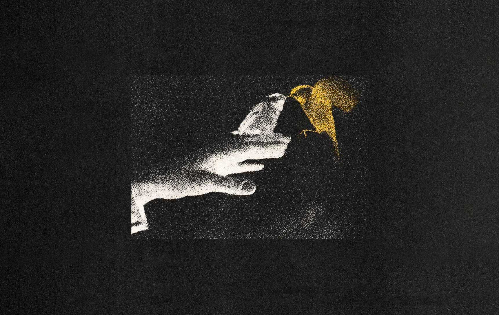 Charlie Jeer | Official Site